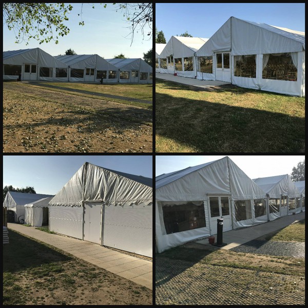 Profitable Business For Sale | Marquee Hire