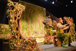 Secondhand Prop Shop | Forest / Woodland