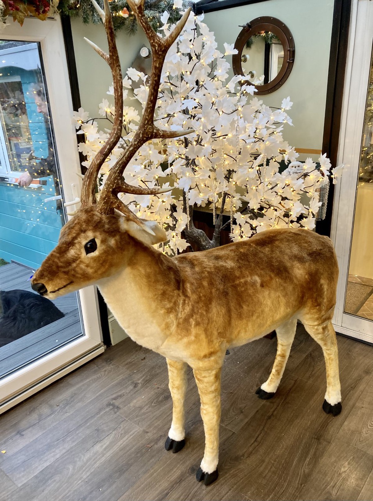Secondhand Prop Shop | Christmas Reindeer | Large Plush Reindeer/Stag ...