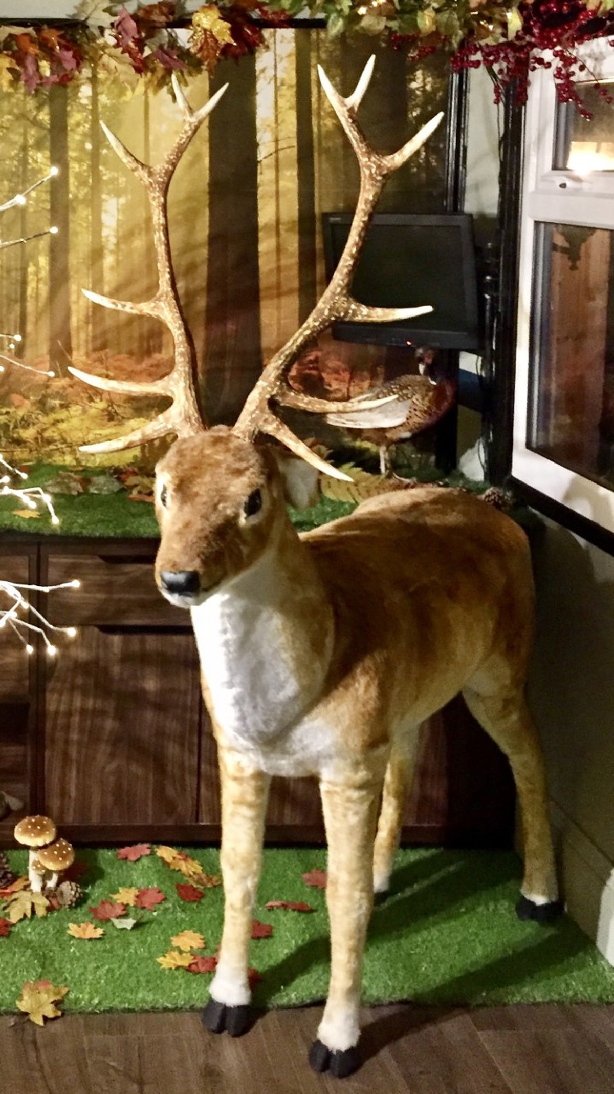 Secondhand Prop Shop | Christmas Reindeer | Large Plush Reindeer/Stag ...