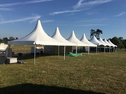 Curlew - New and Used Marquees | Chinese Hat or Pagodas
