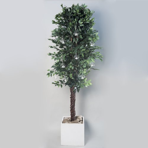 Secondhand Prop Shop | Artificial Plants